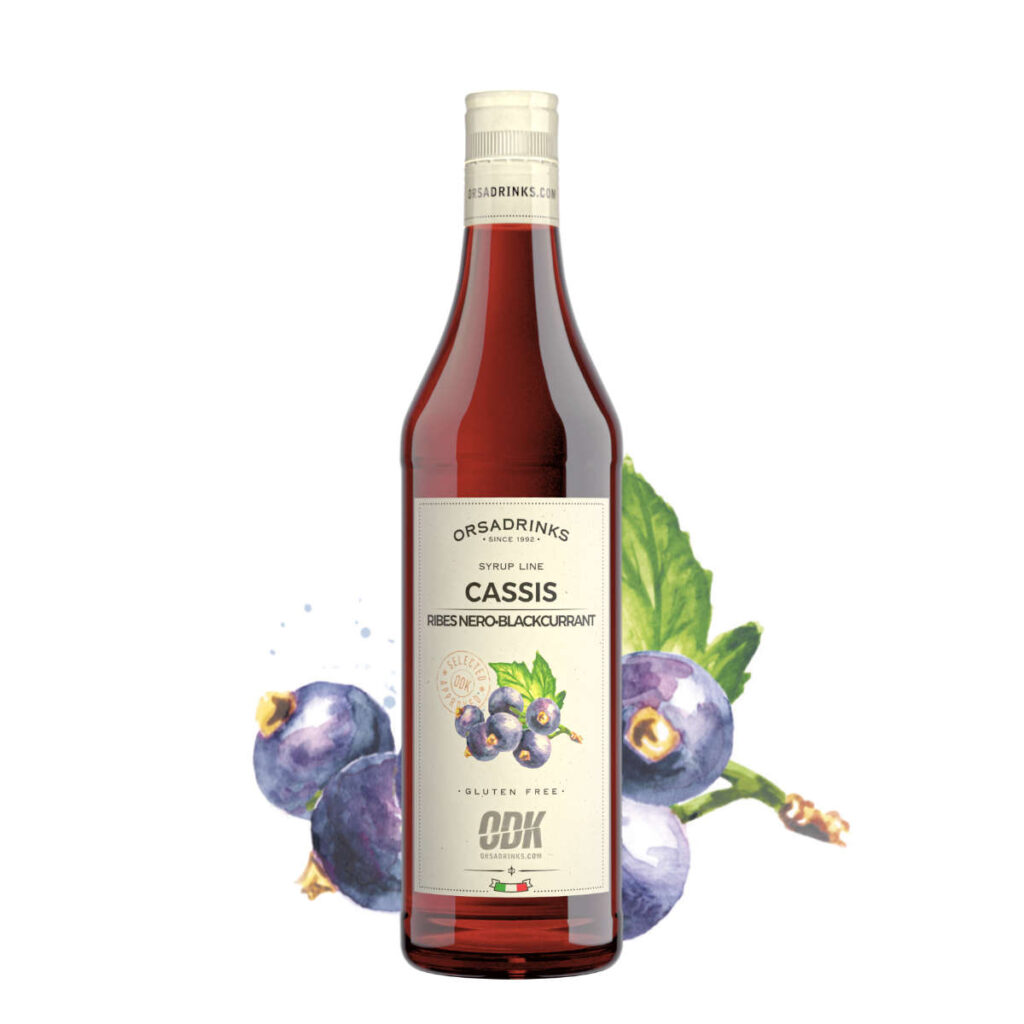 SYRUP RIBES NEGRO (CASSIS) 750ML VIDRIO. ODK – Dach